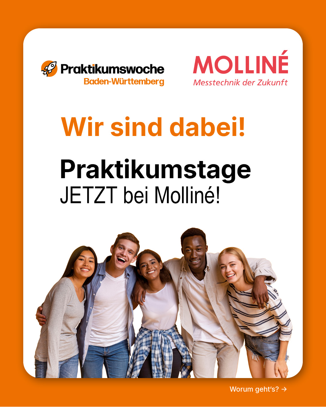 SHK-Journal: Bewirb Dich JETZT für ein Praktikum bei Molliné!